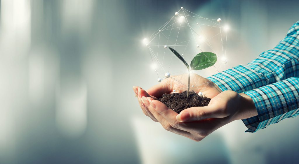 Corporate Venture Capital - EXEO Global