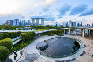 About Us - EXEO Global